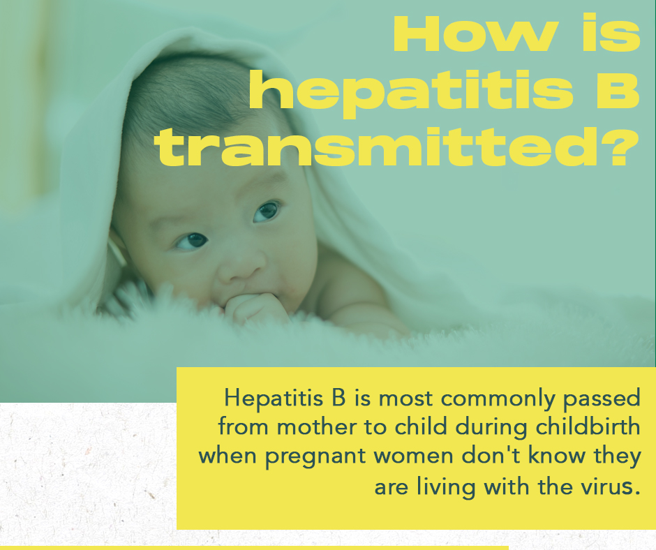Resources for Mandarin-Speaking Communities » Hepatitis B Foundation