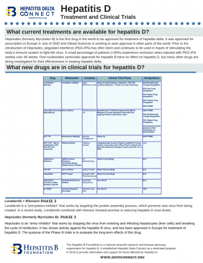 Printable Fact Sheets (English) » Hepatitis B Foundation
