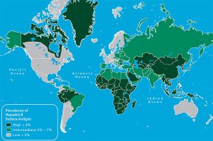 Who’s at Risk for Hepatitis B? Learning the Hep B Basics - Hepatitis B ...