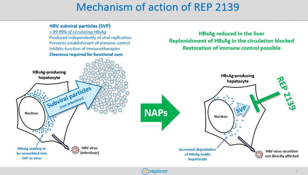 Hepatitis Delta (HDV) Archives - Hepatitis B Foundation